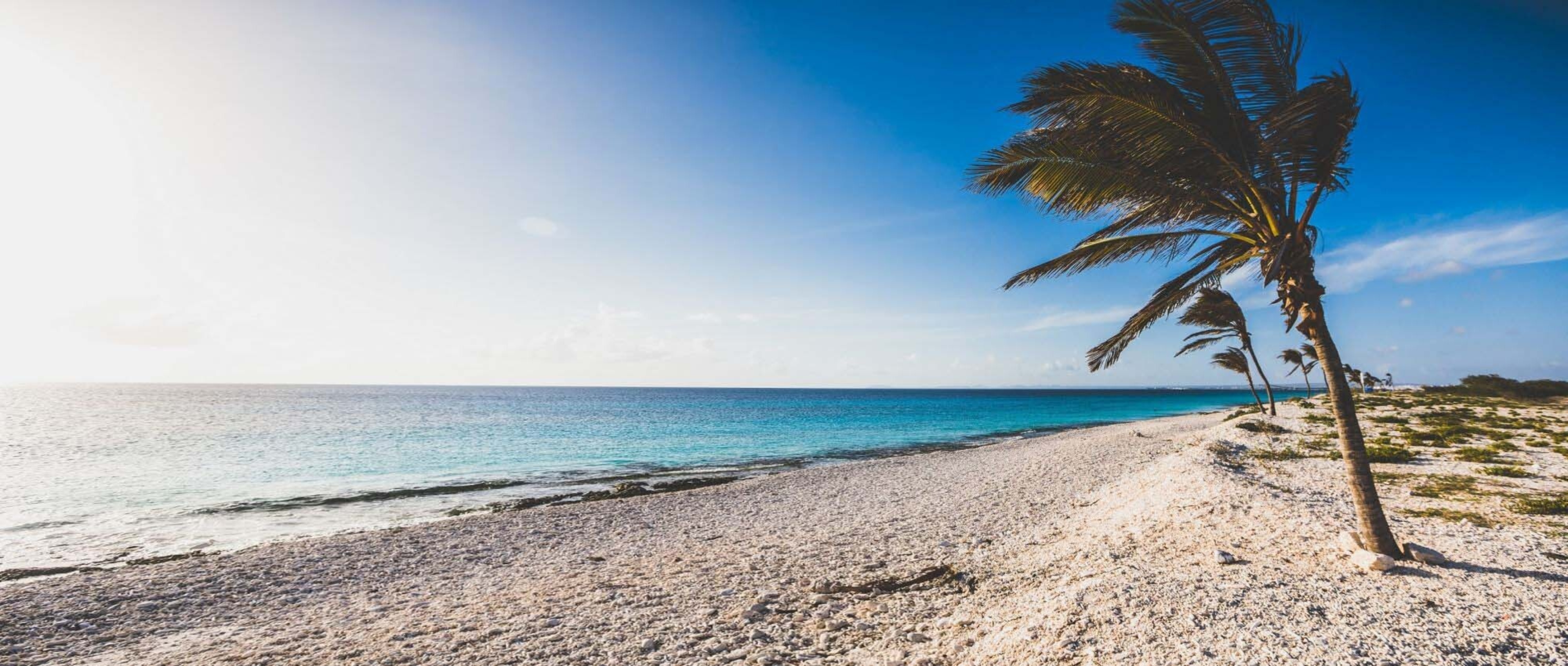 Best Beaches Bonaire • Top 10 Most beautiful beaches on Bonaire ...